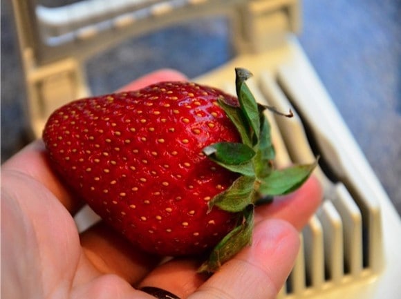 How to Slice a Strawberry for Garnishing