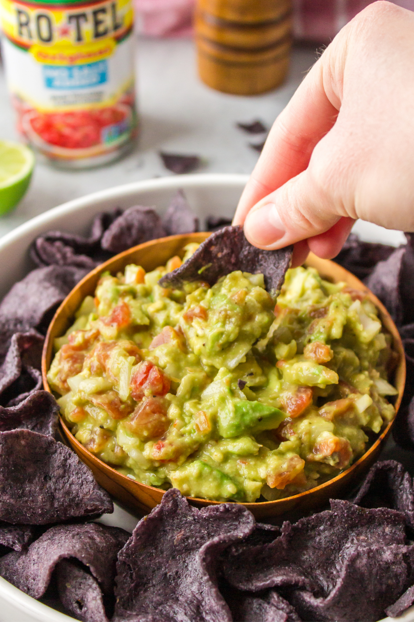 Sandy’s Famous Guacamole Dip - Reluctant Entertainer