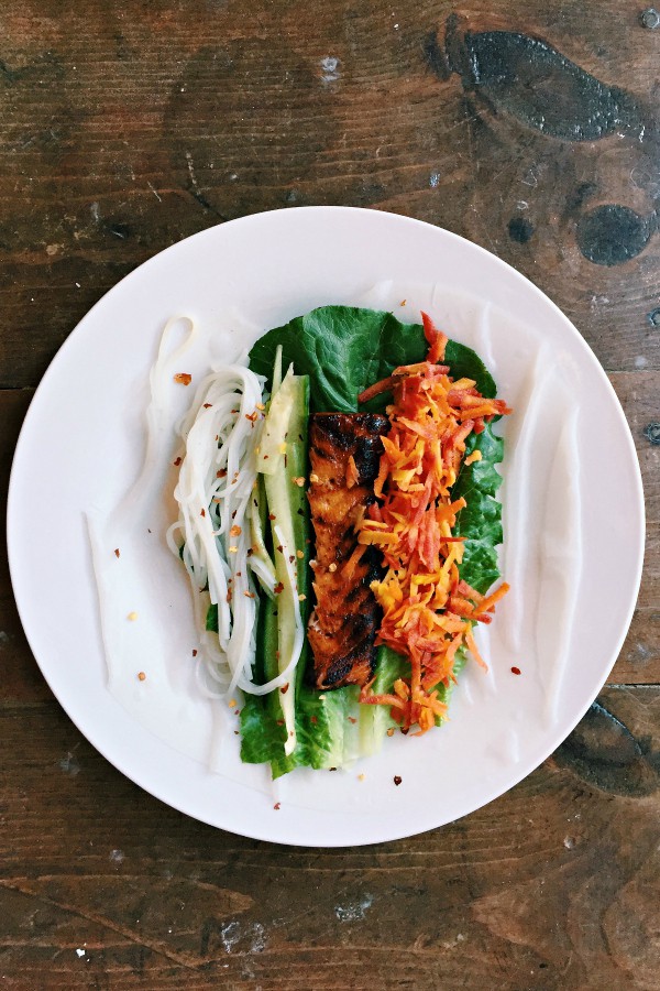 Salmon Spring Rolls Recipe - Reluctant Entertainer