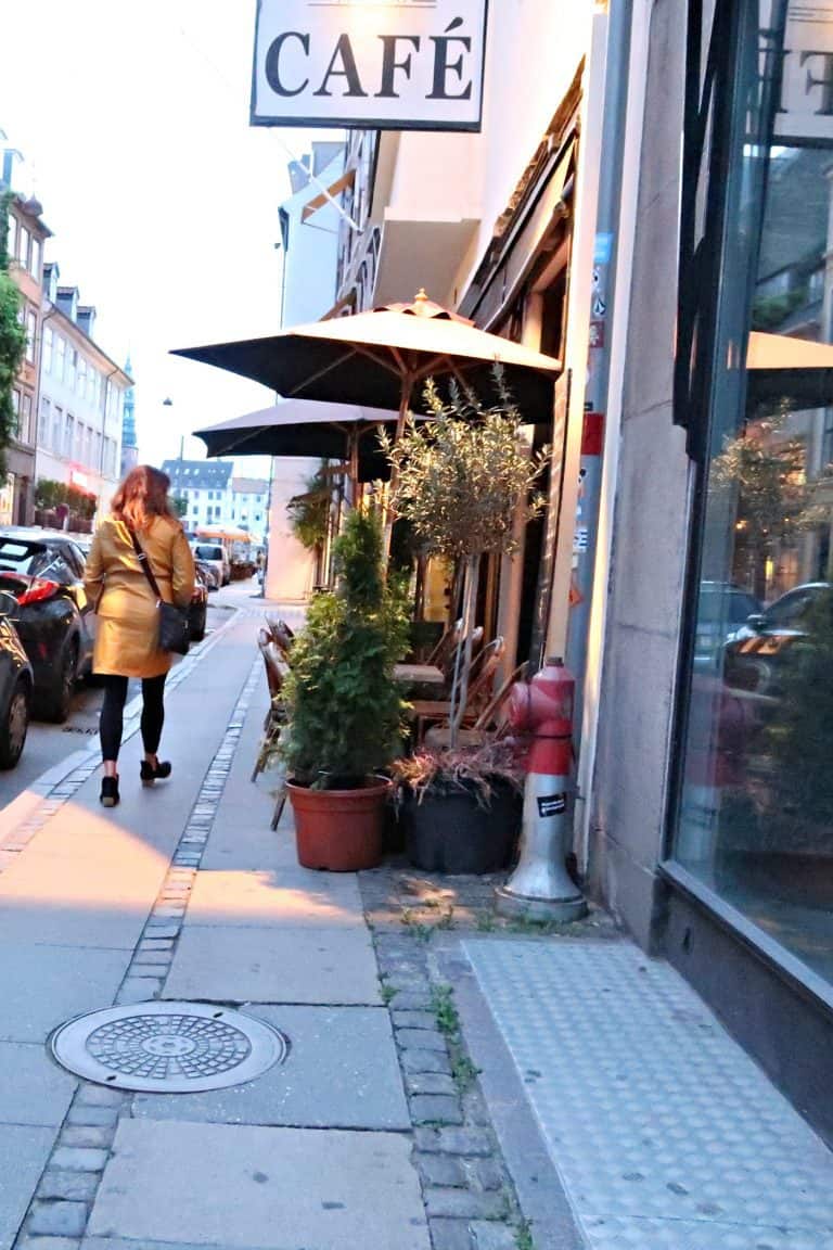 Homeland Viking Cruise Denmark Excursions - Reluctant Entertainer
