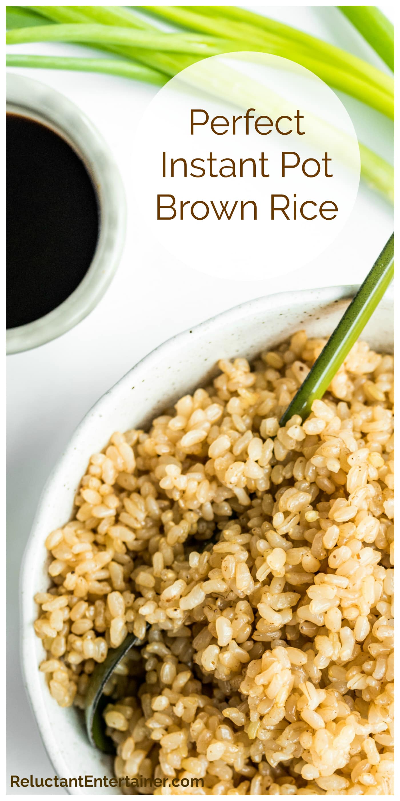 Perfect Instant Pot Brown Rice - Reluctant Entertainer