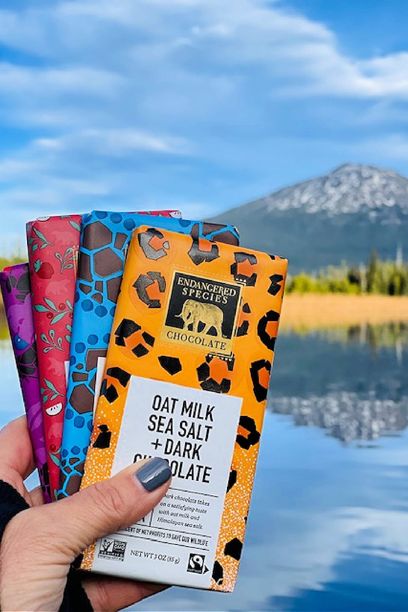 Holiday Chocolate Dessert Board - Reluctant Entertainer