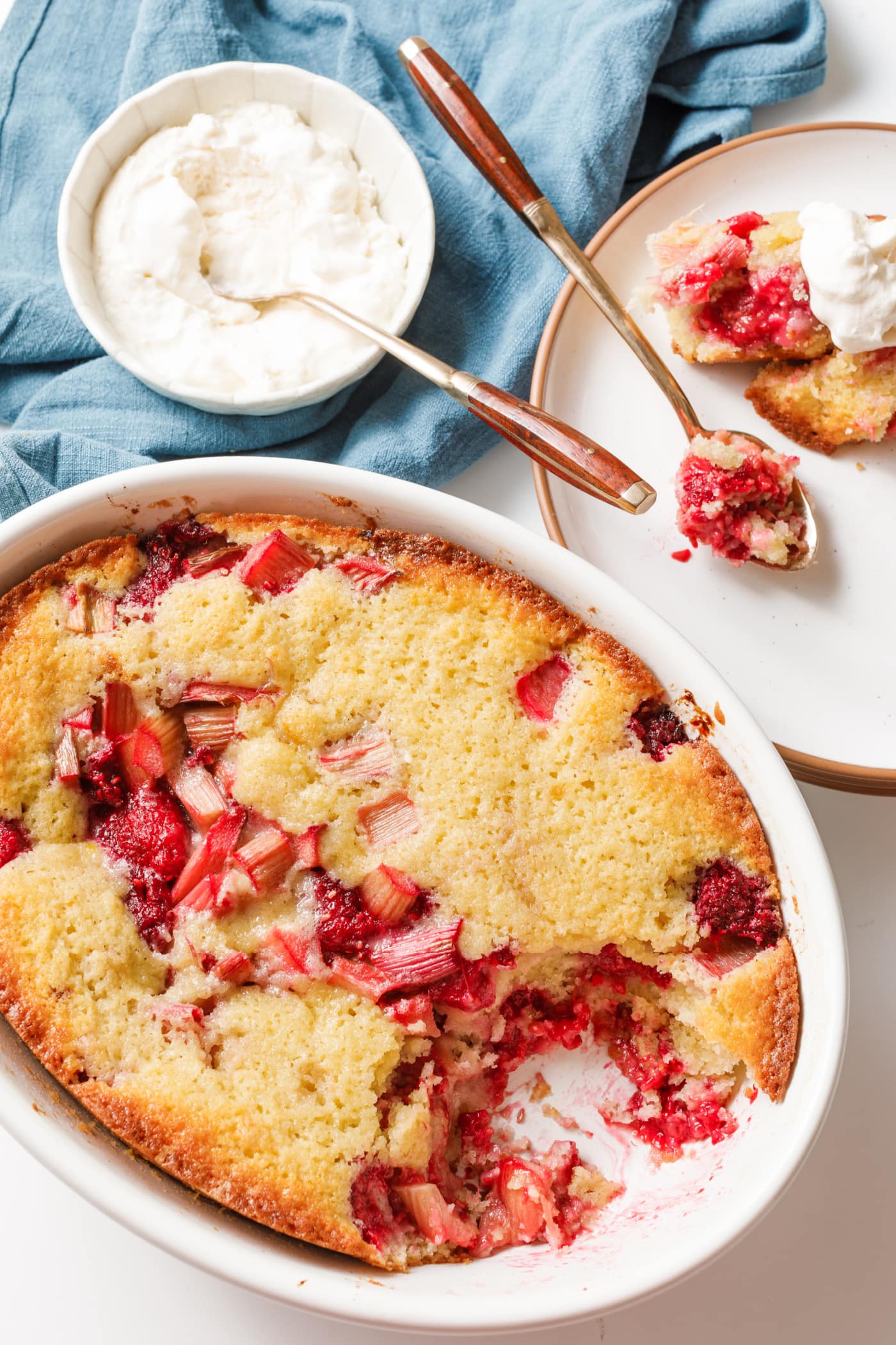 Raspberry Rhubarb Buttermilk Cake - Reluctant Entertainer