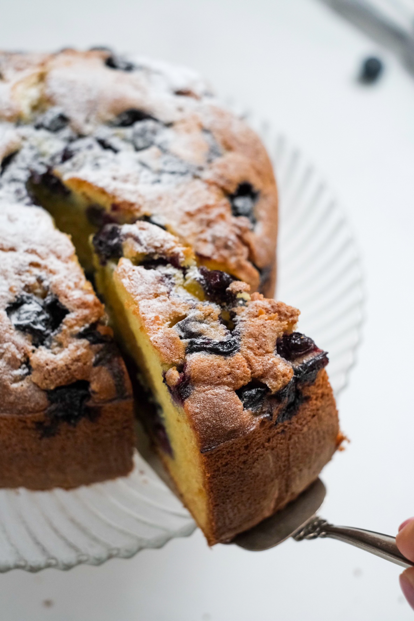 Sour Cream Blueberry Cake - Reluctant Entertainer