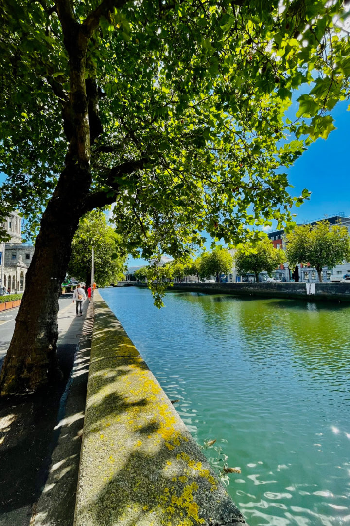 3 days in Dublin - Reluctant Entertainer