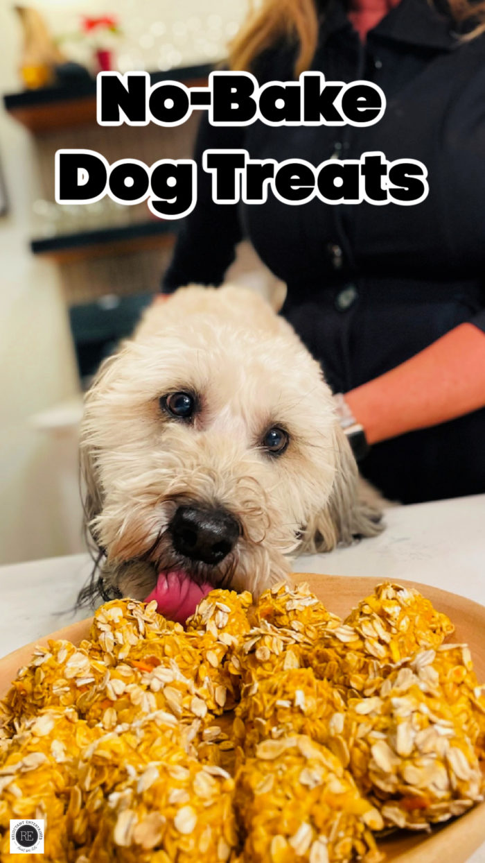 No Bake Dog Treats - Reluctant Entertainer