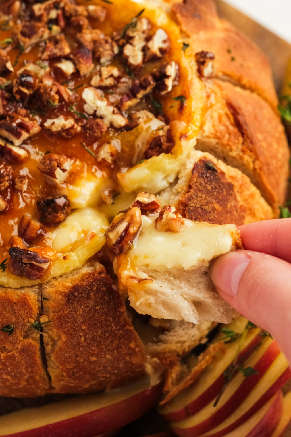 Baked Brie Bread Bowl - Reluctant Entertainer