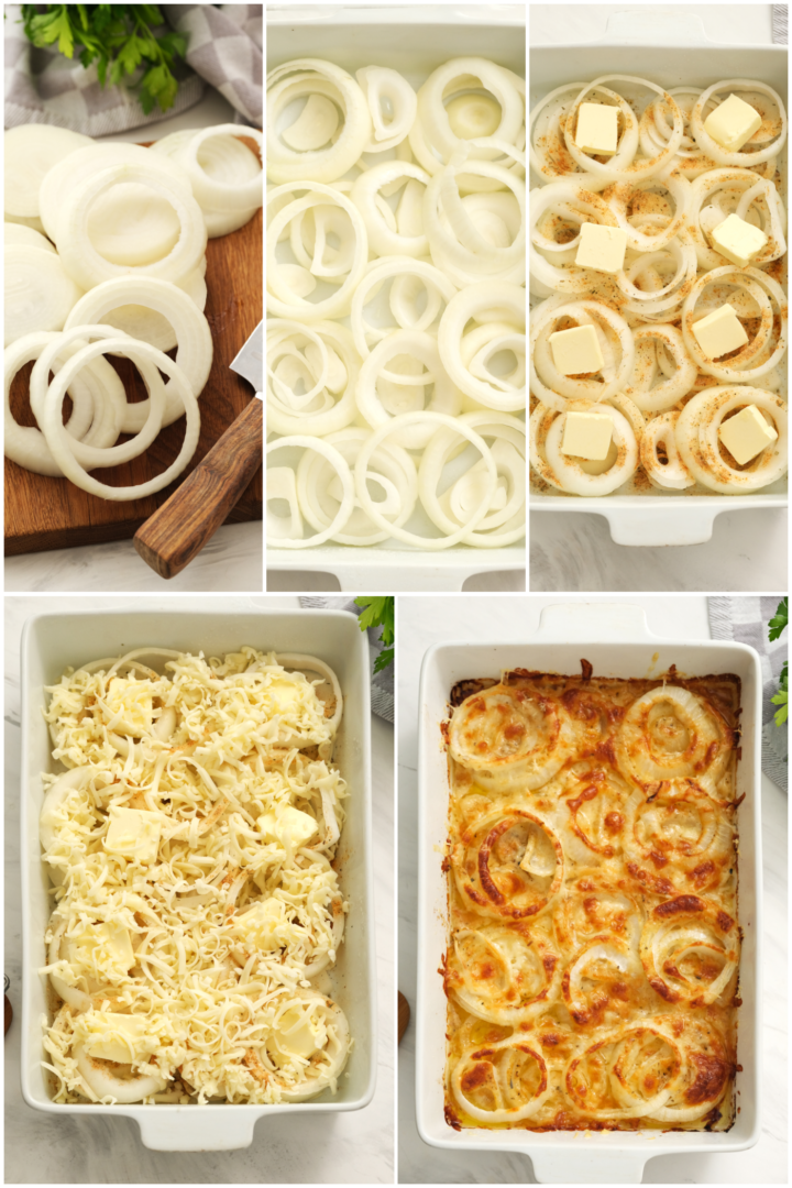 Tennessee Onions - Reluctant Entertainer