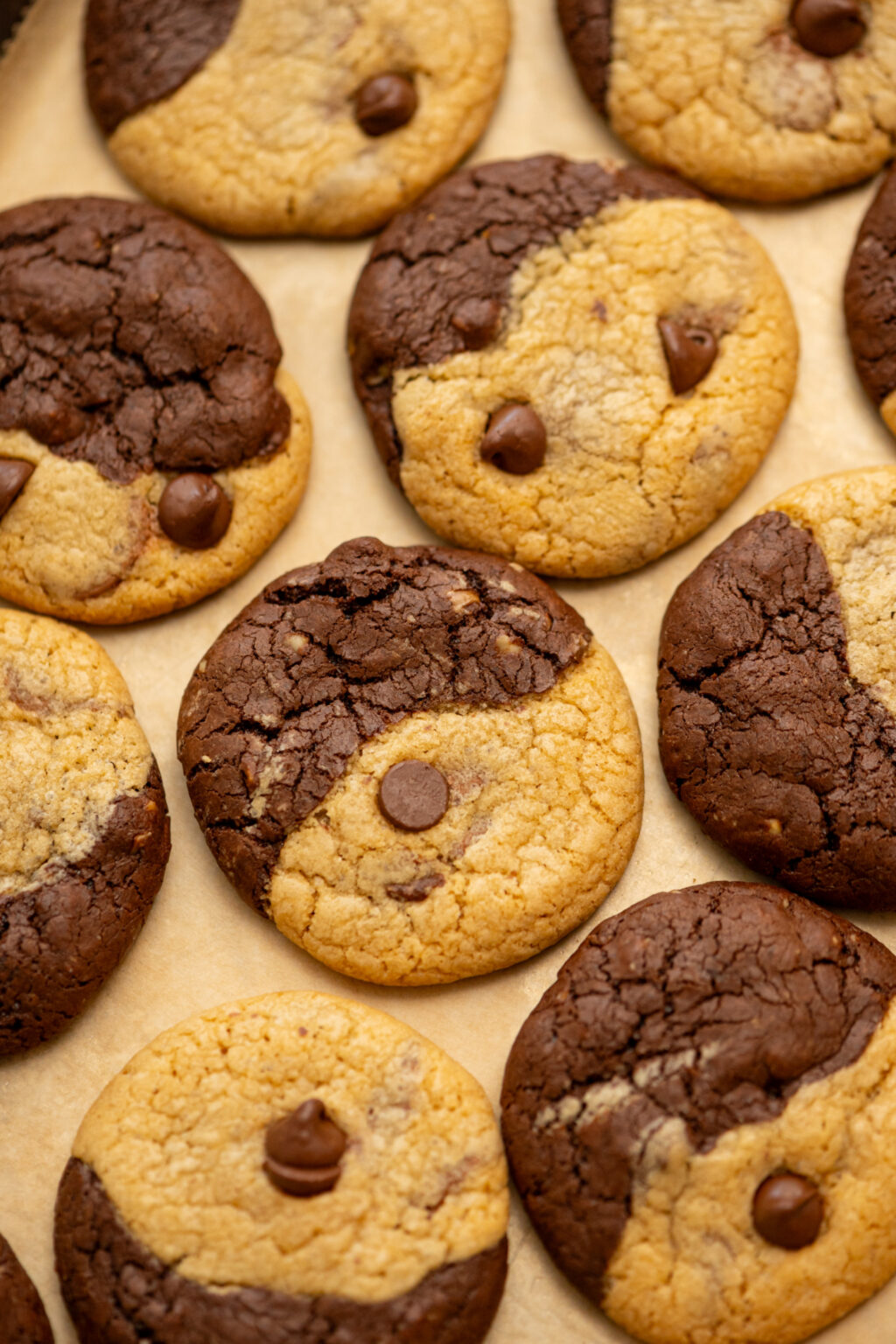 Brookie Cookie - Reluctant Entertainer